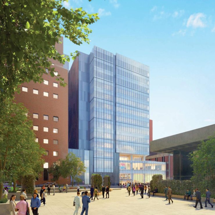 Openings – Xiao Yang Lab at Johns Hopkins Biomedical Engineering