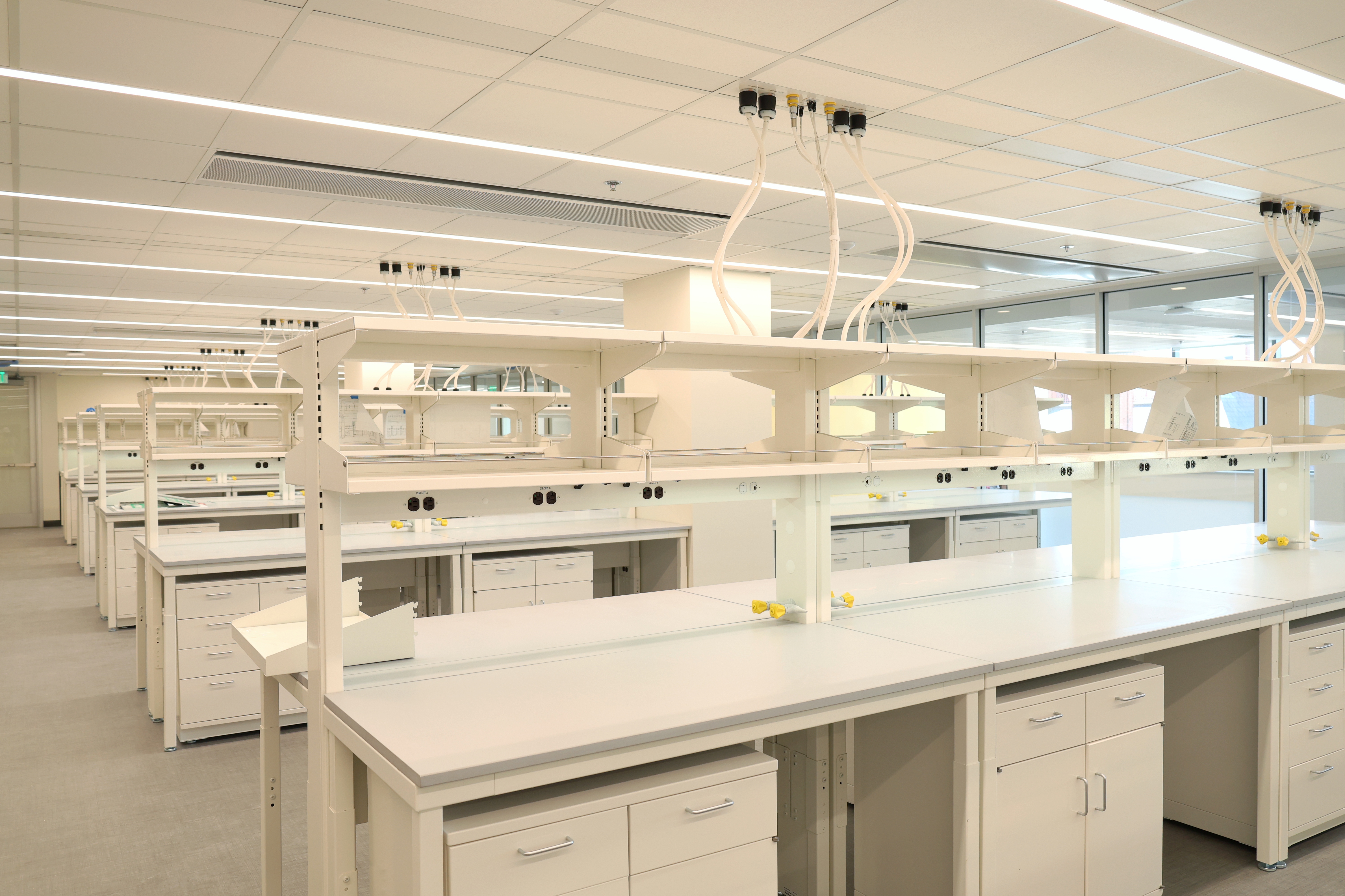 News – Xiao Yang Lab at Johns Hopkins Biomedical Engineering