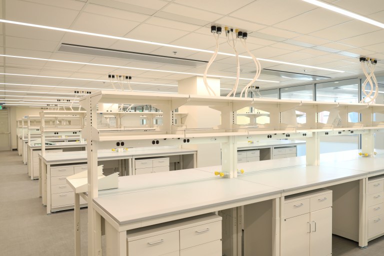 News – Xiao Yang Lab at Johns Hopkins Biomedical Engineering
